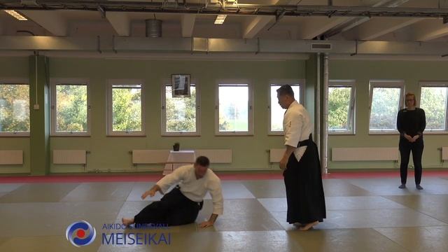 3 Aikido Ai Hanmi Iriminage Omote, Shishiya Sensei Malmö 2018