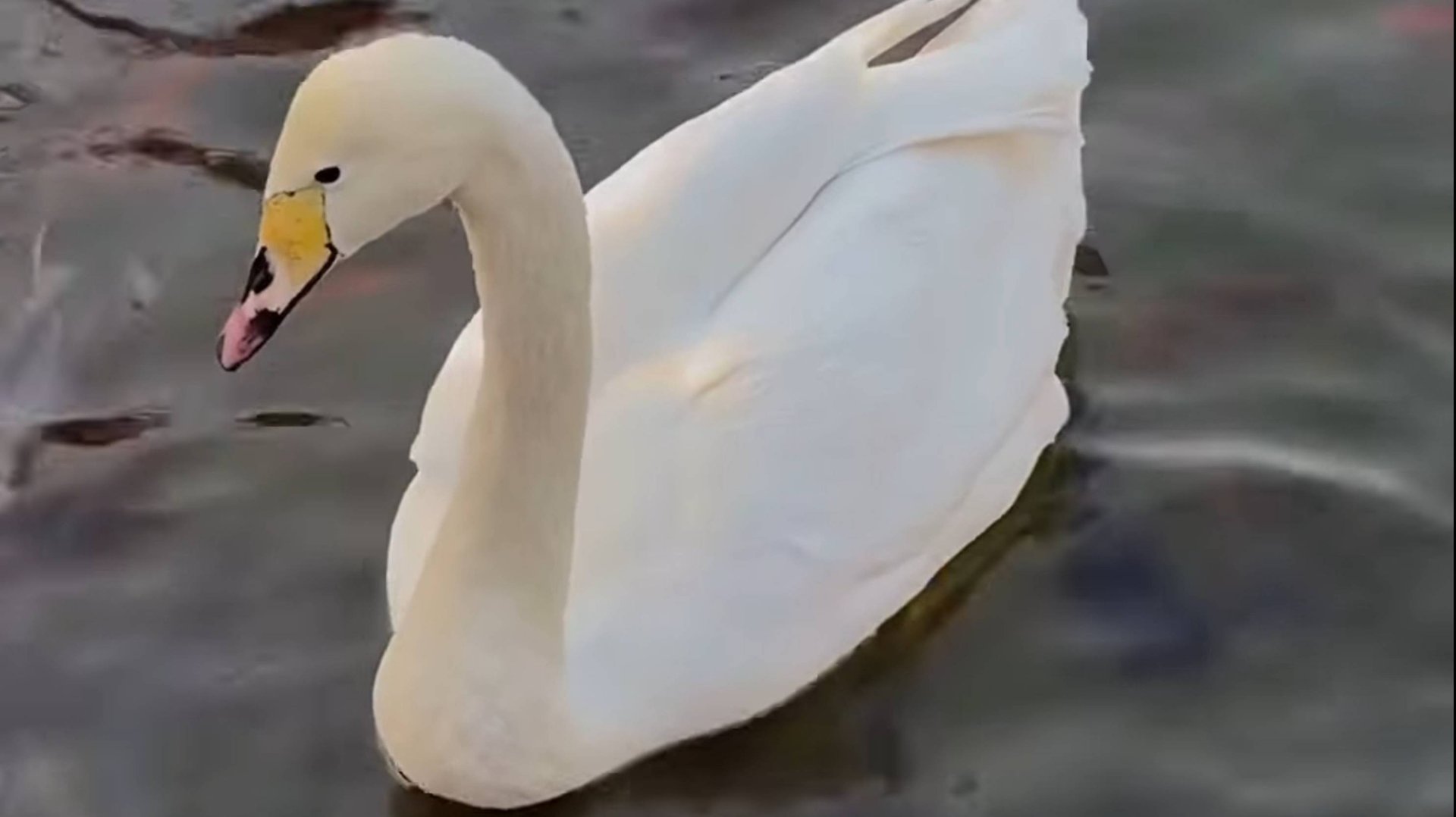 Нескончаемые пустые баночки Фаберлик и не только.