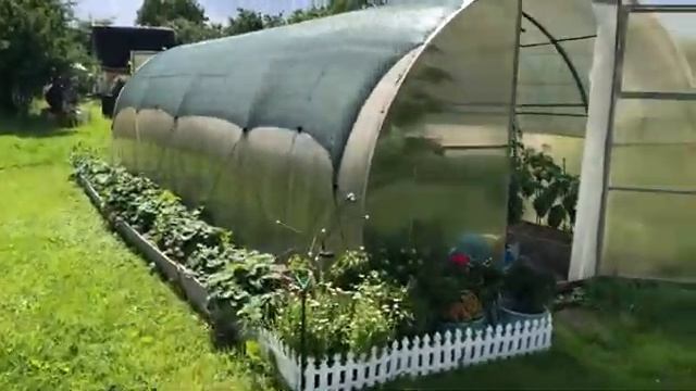 Показываю цветущий сад и газон часть (11)