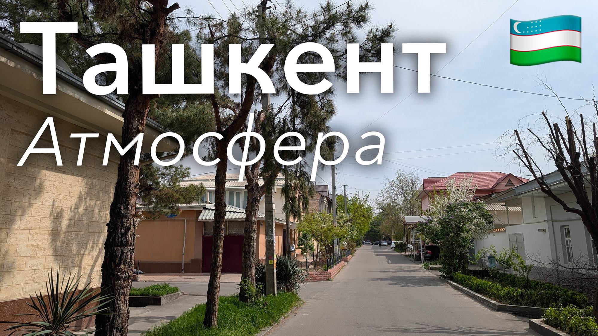 🇺🇿 Прогулка по Ташкенту в 4K: Атмосфера Жилых Кварталов | Узбекистан