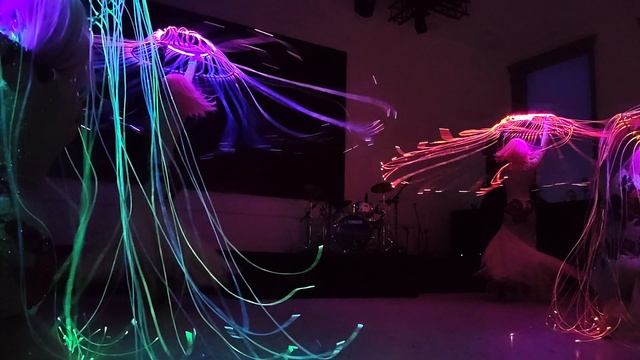Световое шоу "Медузы" - так некоторые организаторы мероприятий называют наше шоу "Ночные цветы"