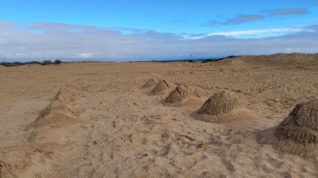 Благовещенская сегодня.
