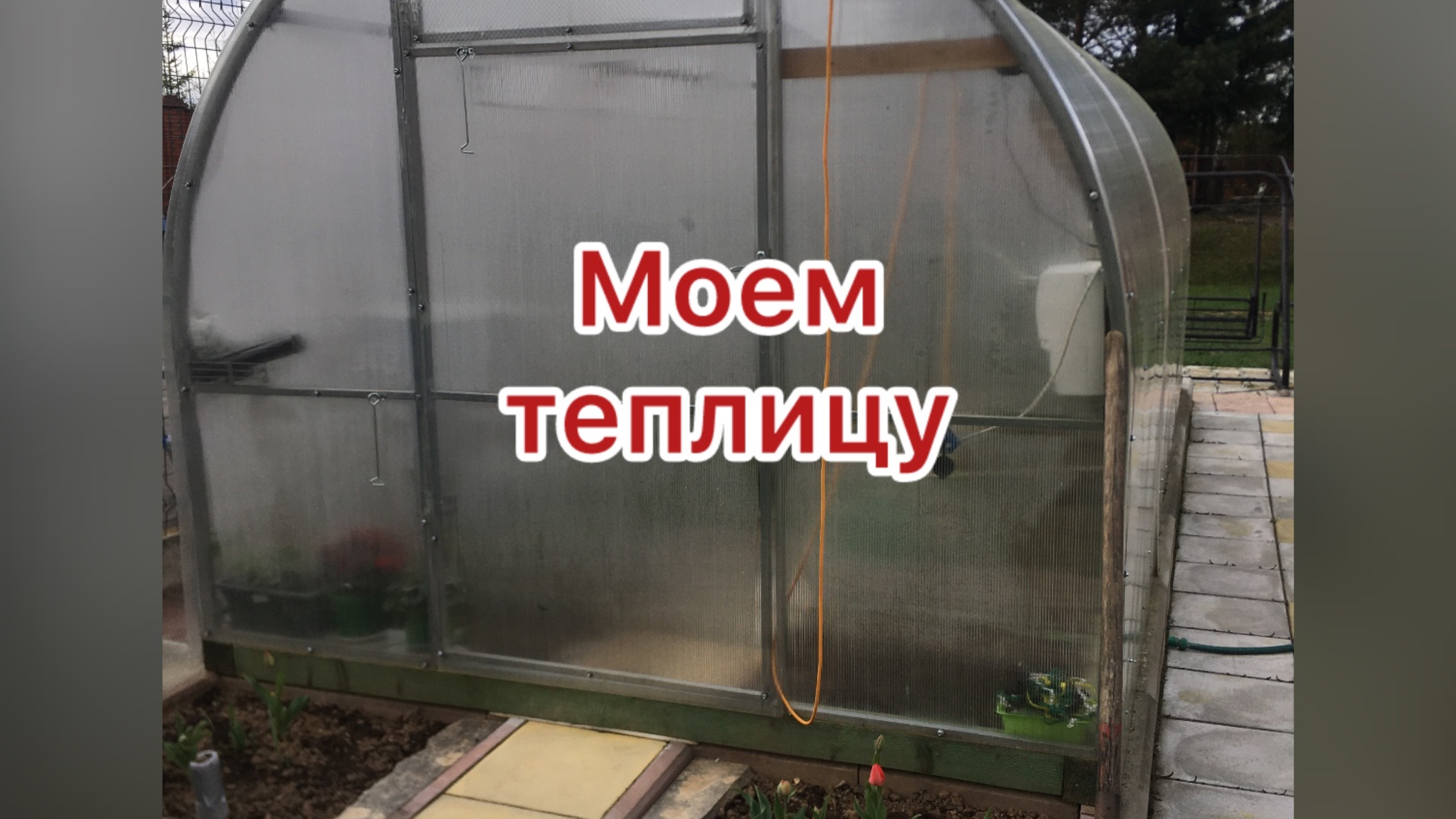 Теплица 2 моем и обрабатываем табачным мылом