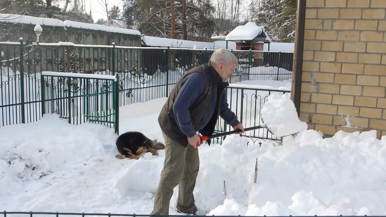 2016 11 14 Папа убирает снег