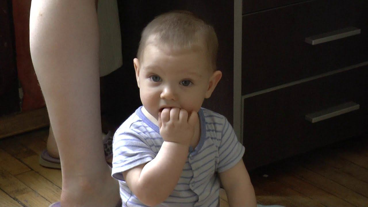 С Бонечкой общаемся. 290416