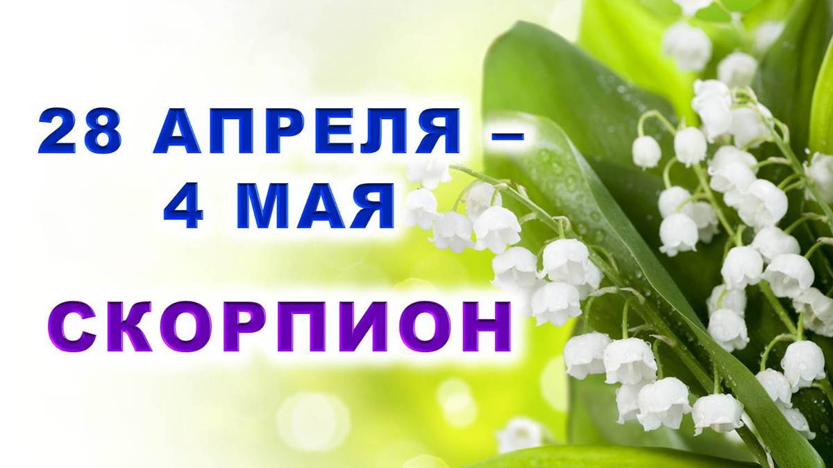 ♏ СКОРПИОН. 🍀 С 28 АПРЕЛЯ по 4 МАЯ 2025 г. 🌿 Подробный Таро-прогноз 💫 Предпоследний выпуск 🙏