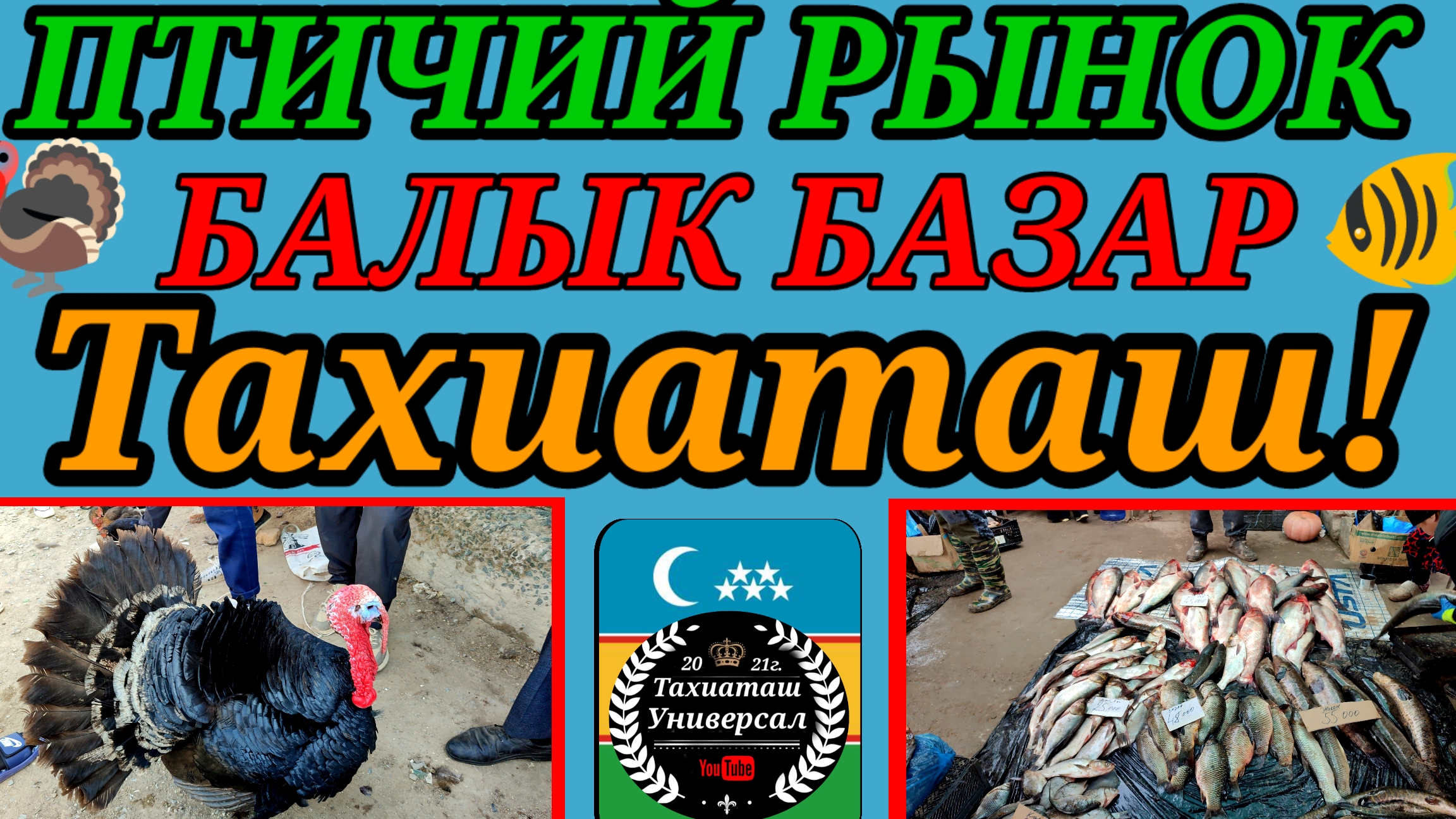 28-04-2025 ПТИЧИЙ РЫНОК 🐓 ТАУЫК БАЗАР,РЫНОК РЫБ