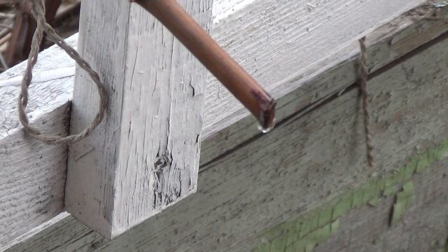 АРХИВНОЕ ВИДЕО апрель 2022 г  Зима вернулась  Саженцы из Порядка