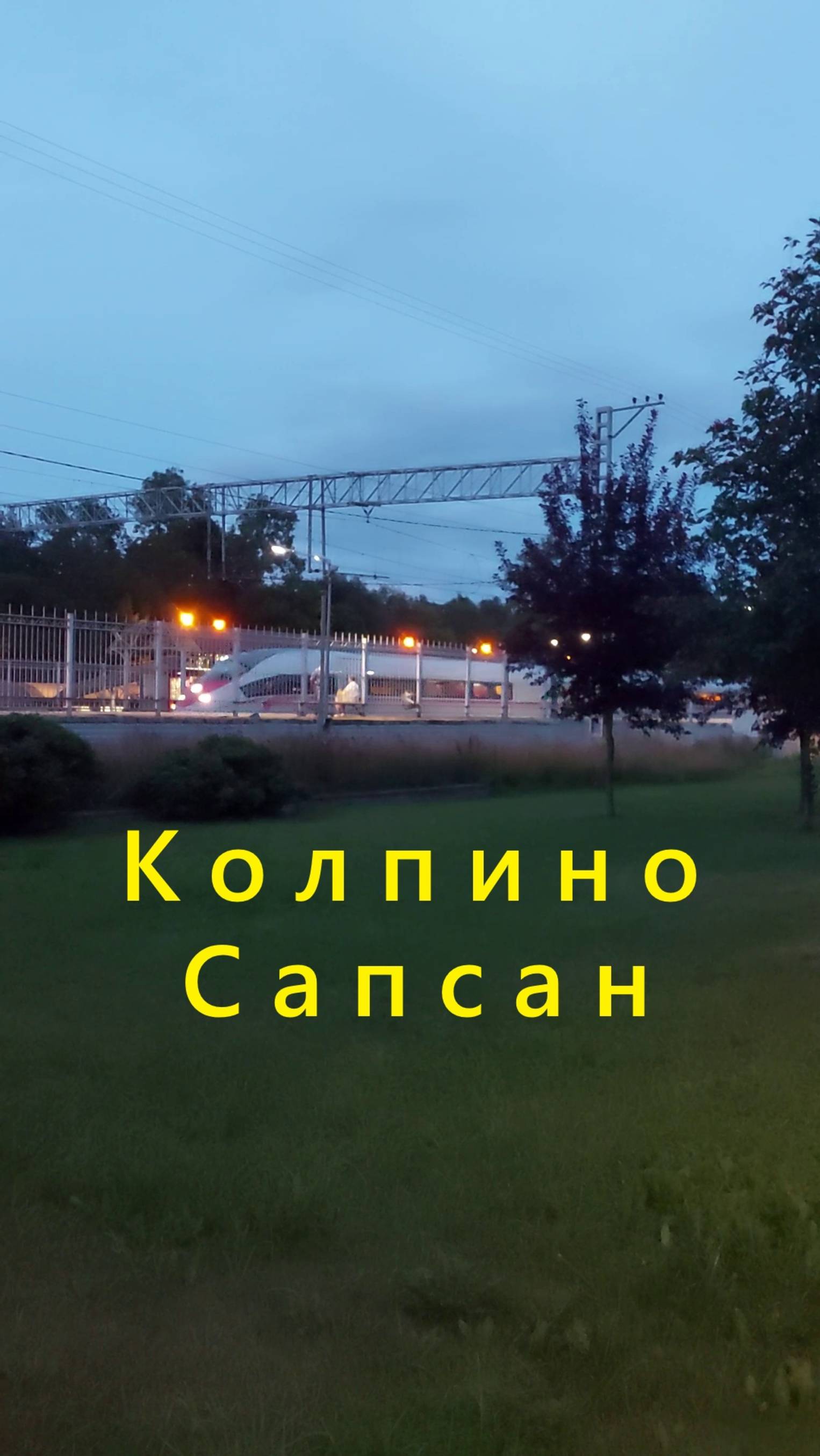 Пролет Сапсана в Колпино прекрасным летним вечером