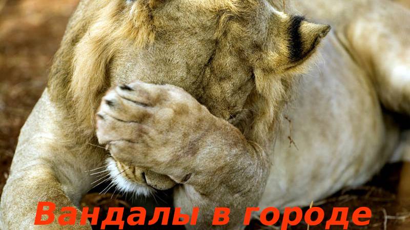 Вандалы в Электростали_Light