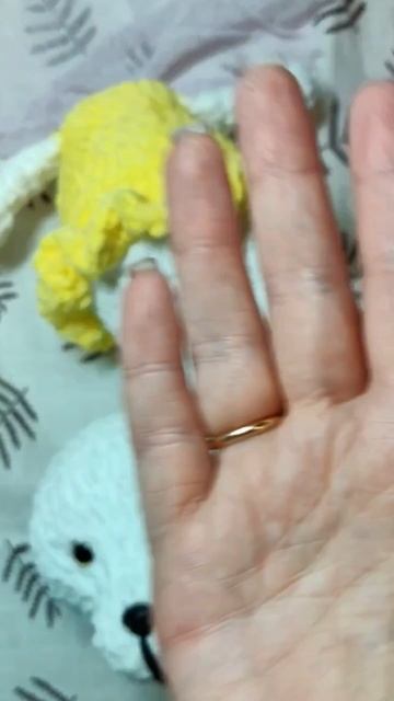 рождение милого вязаного песеля