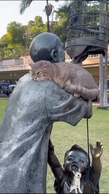 Забавные пушистики у памятников