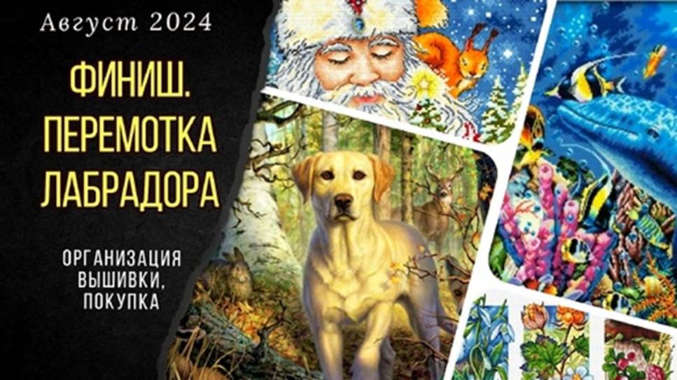Вышивка в августе_Перемотка лабрадора_Покупки_Обо всем понемногу