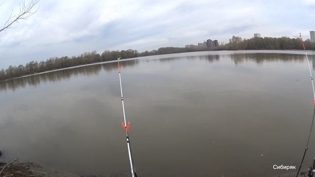 Фидерная рыбалка на новом месте. Рыбалка на фидер в НСО