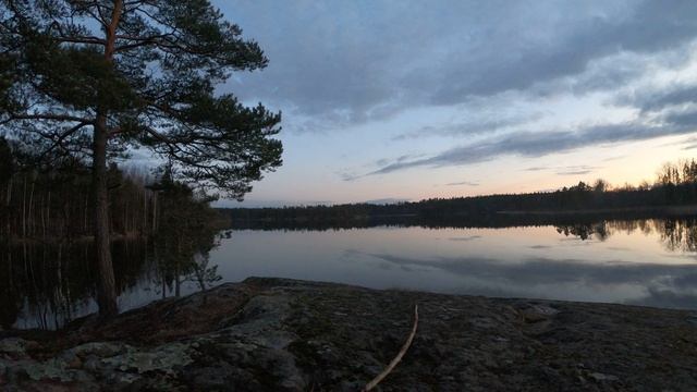 Кузнечное. Ленинградская область. 25.04.2025 г. Timelaps.