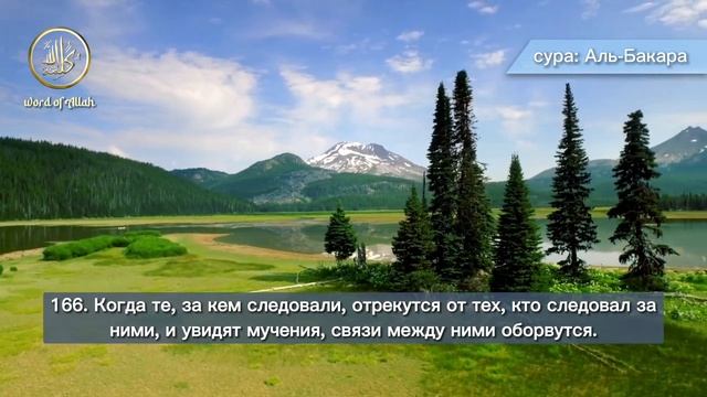 Красивое чтение Корана с (Переводом)
Сура Аль-Бакара
Чтец: Ислам Субхи