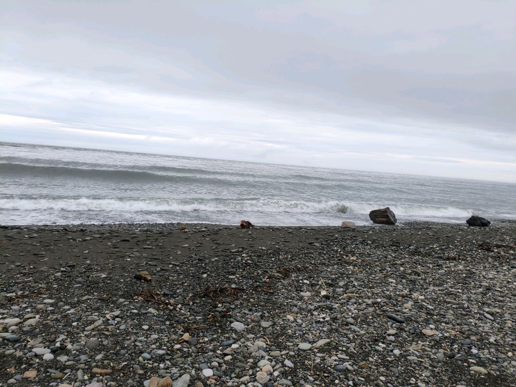 стрим из сочи пляжа