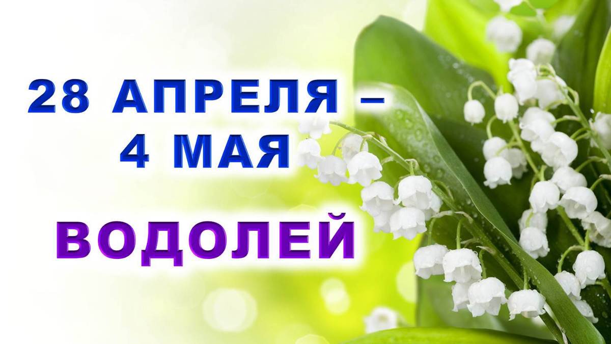 ♒ ВОДОЛЕЙ. 🍀 С 28 АПРЕЛЯ по 4 МАЯ 2025 г. 🌿 Подробный Таро-прогноз 💫 Предпоследний выпуск 🙏