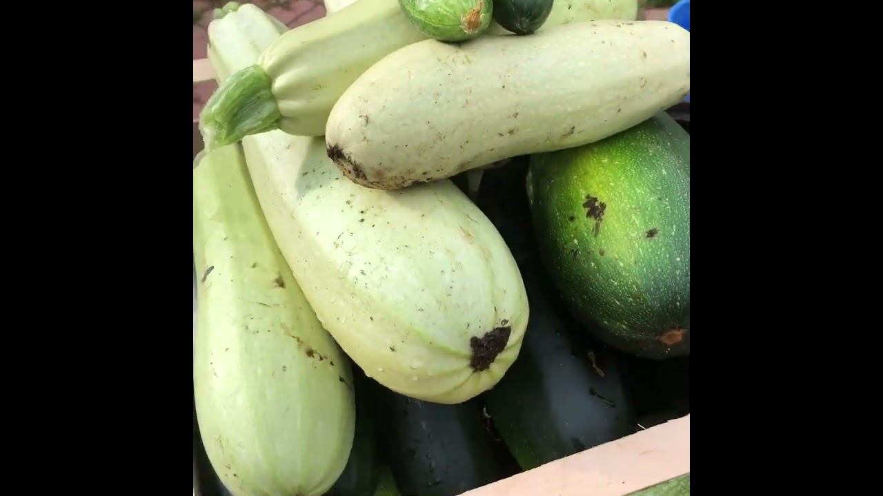 Что бы такое заготовить на зиму?