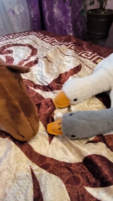 трейлер сэриала  ﹤братство капибар﹥