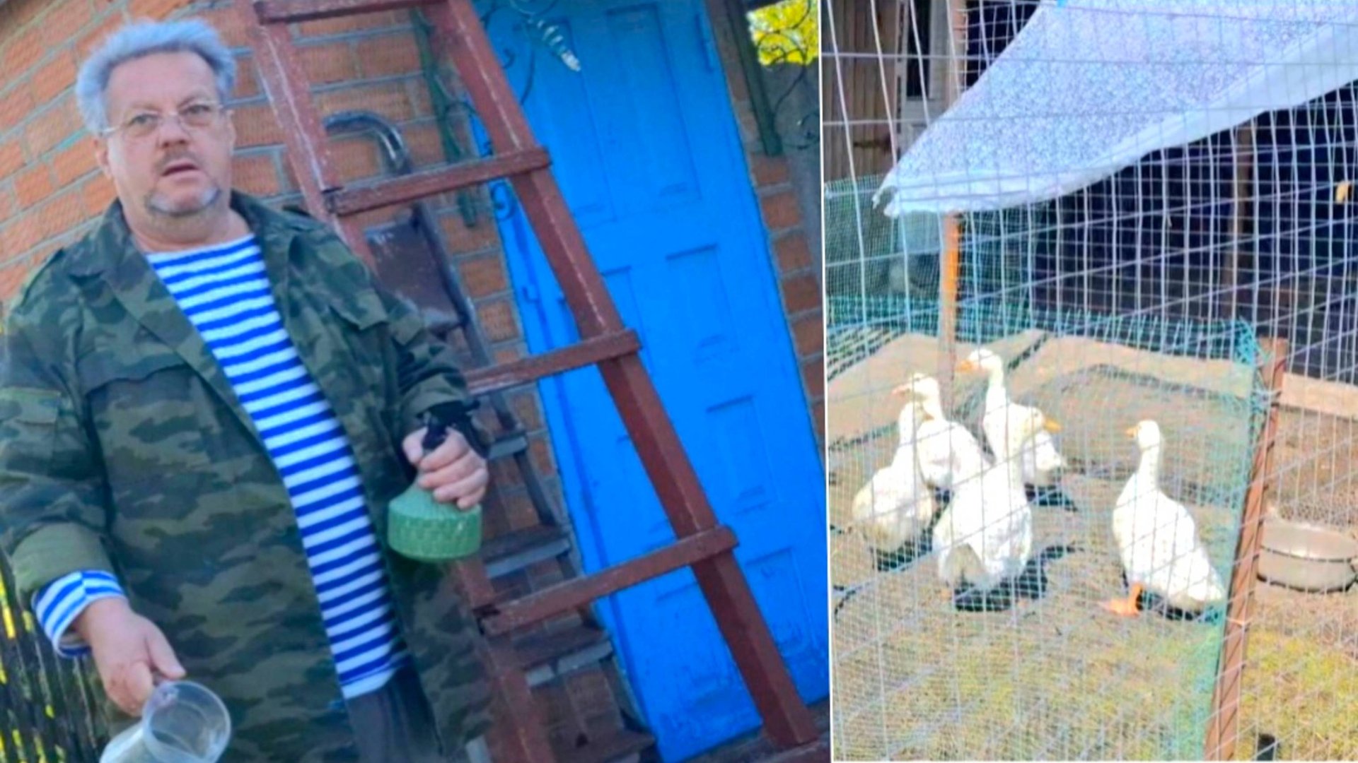 444 🏠 Живём в станице на юге. Готовимся к заселению.Наверное ей  конец!Самая правильная Пицца.