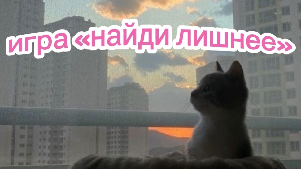 игра «найди лишнее» часть 1