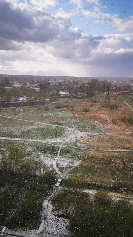 Заметает, апрель, весна в России #снегвапреле #снегопад #снегидет #весна #веснавРоссии #снег #snowi