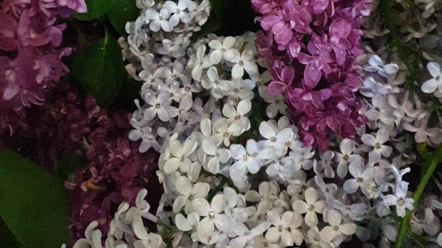 Видеообзор готовых игрушек. Лесные жители и не только...