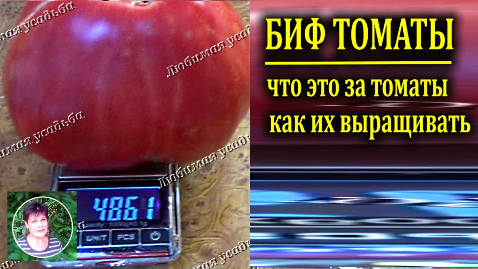 БИФ ТОМАТЫ Что это за томаты и как их выращивать
