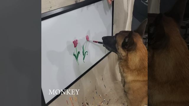 собака рисует