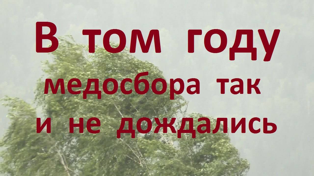 Как рушатся надежды пчеловода