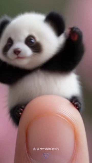 Мини ми-ми-мишки 1