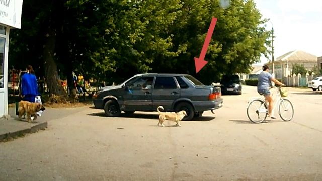 Водятельши блин! Как так можно?