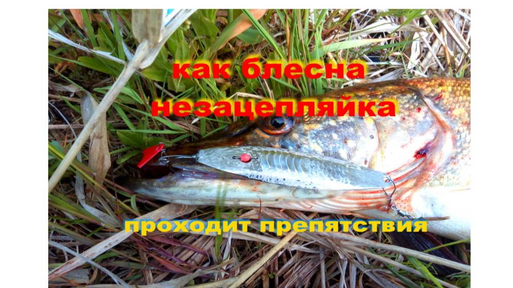 Блесна НЕЗАЦЕНЛЯЙКА со специальным одинарным усом.