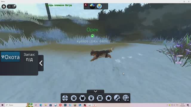 идея для скина-Орех-коты воители роблокс