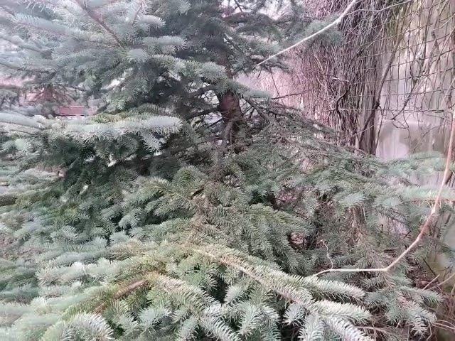 Первый весенний теплый день