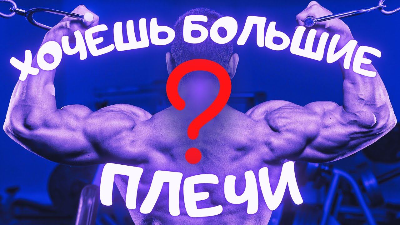 Тренируйся по армейской программе от Грега Плитта | Тренировка плеч | Георгий Стадник