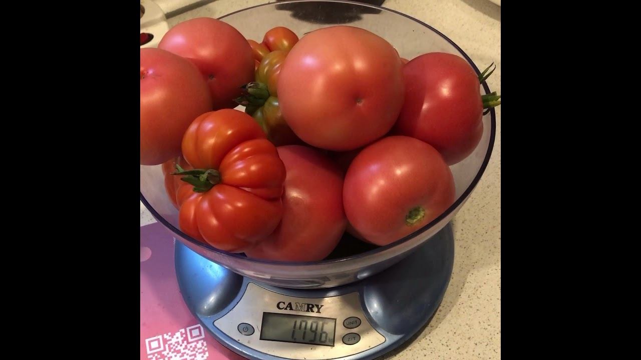 Воспоминание о лете!