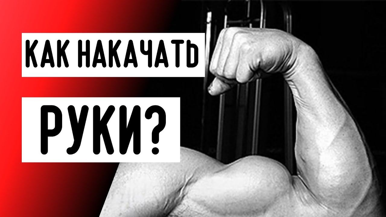 100% рабочая программа от Грега Плитта | тренировка рук | Георгий Стадник