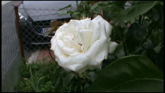 2024 Июль Мама я