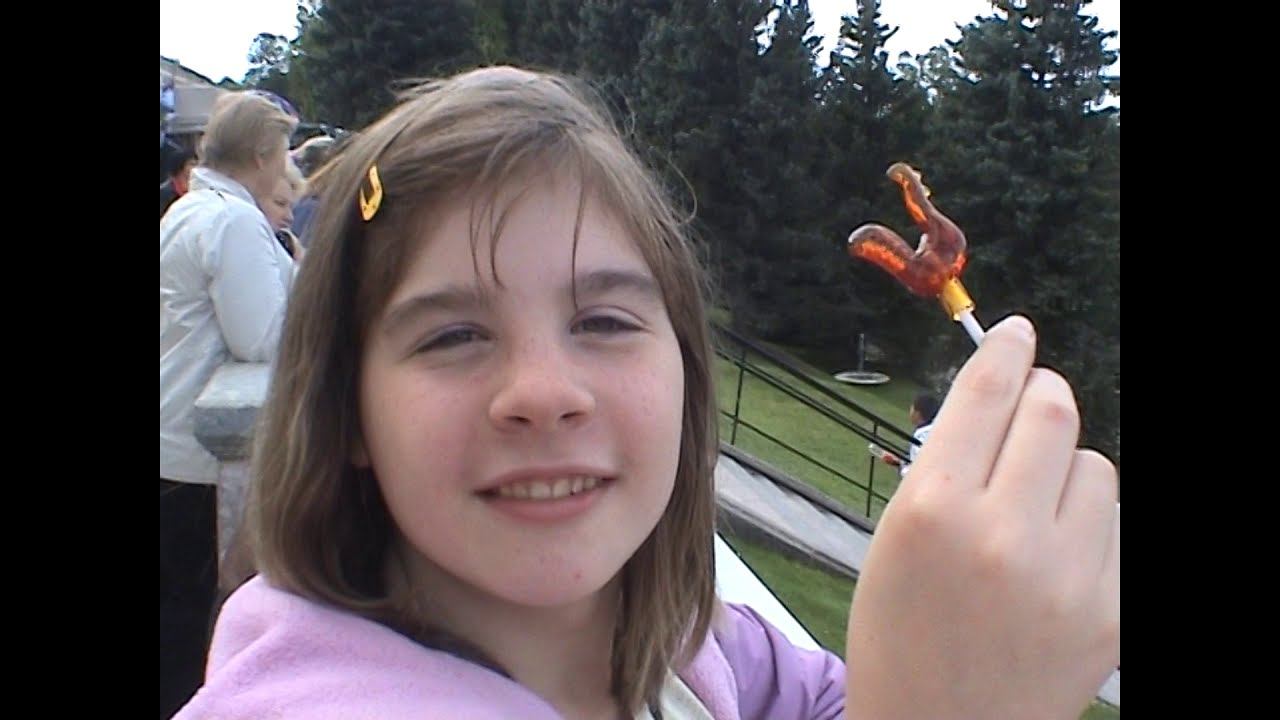 2010 Петродворец