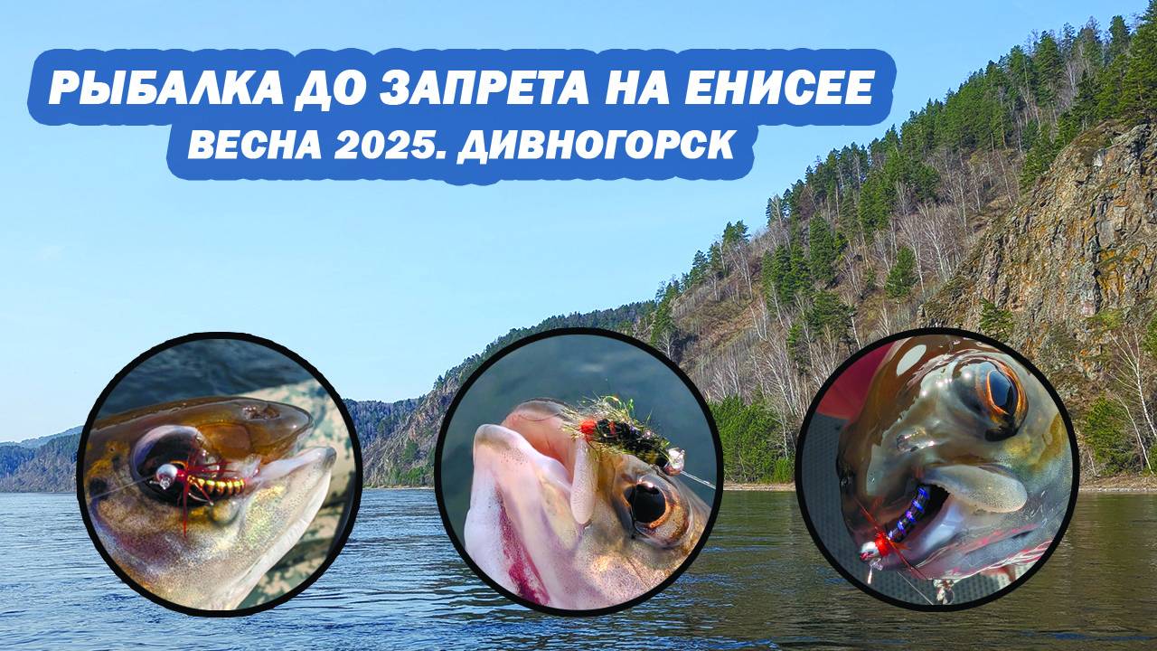 Рыбалка весной до запрета на Енисее. Тестирование материалов Sibnymph. Дивногорск