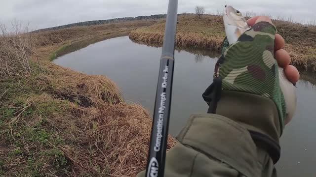 Открытие сезона евро нимфой.