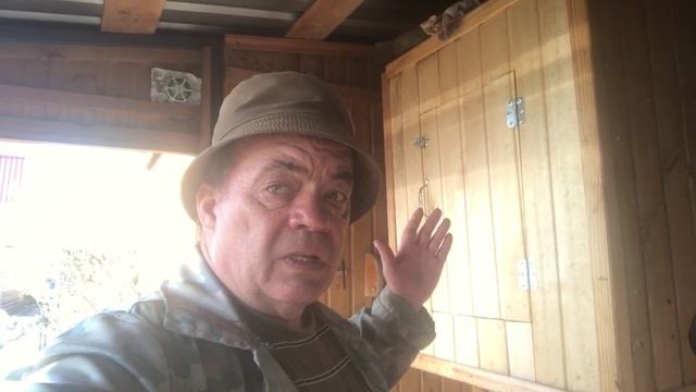 Как отличить плотву от краснопёрки