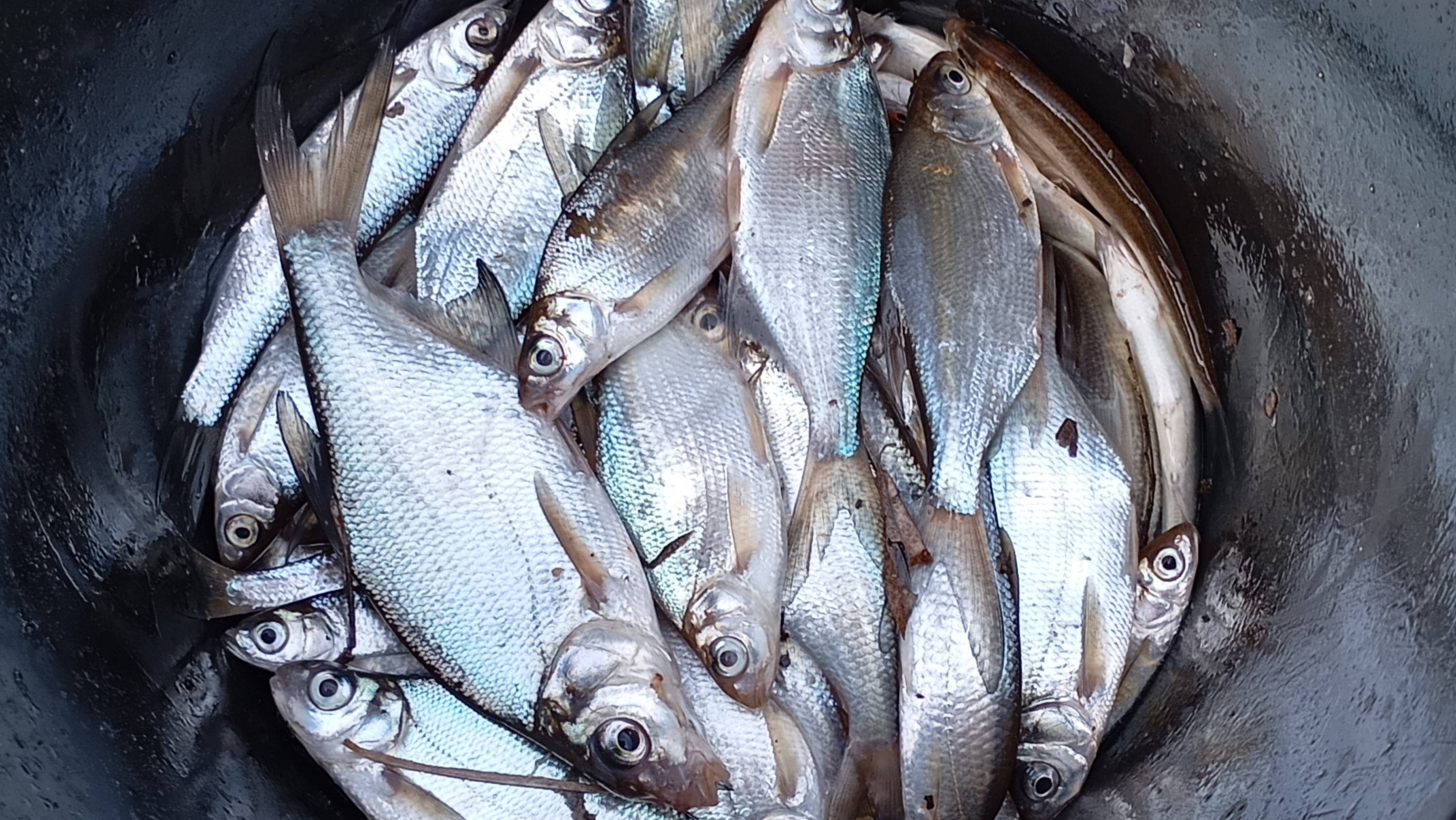 Первая рыбалка в этом году. 2025г.Счастливые и довольные!