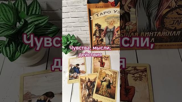 Чувства, мысли, действия #онлайгадание