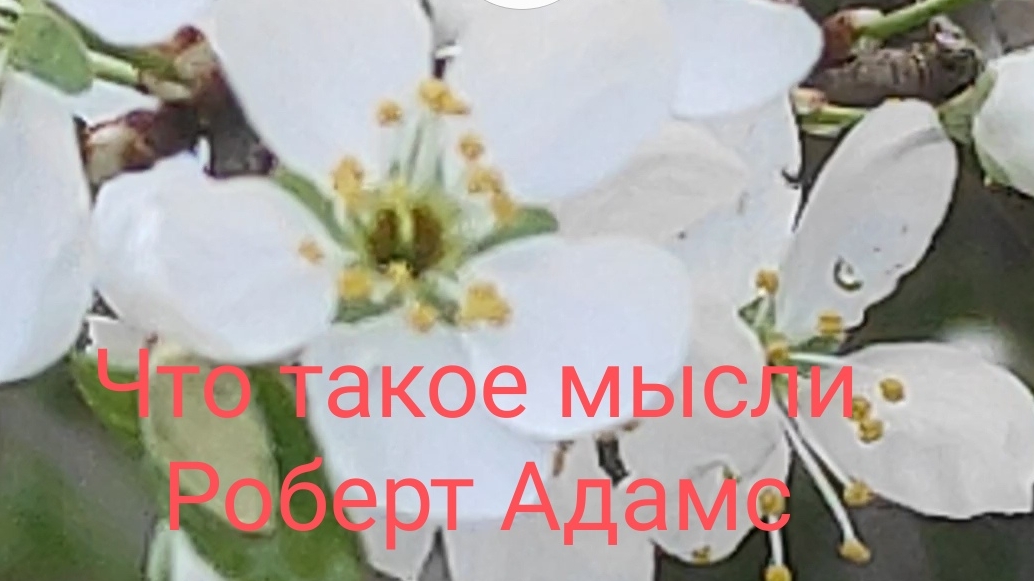 Что такое мысли Роберт Адамс