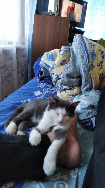 .VID_20240714_194109