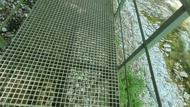 Трейлер: Бешенка, апрель 2025