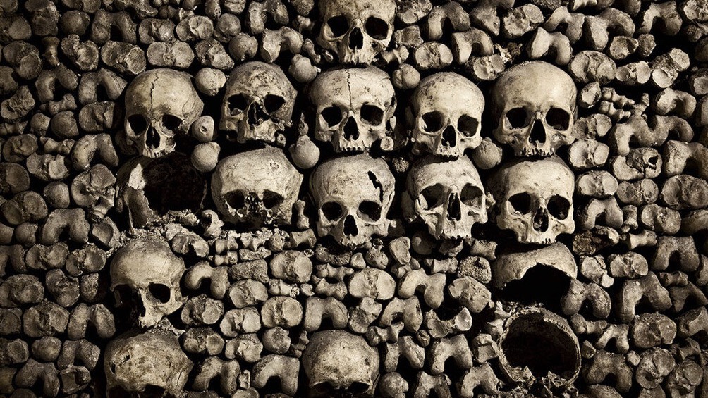 28 лет спустя - Русский трейлер (2025)